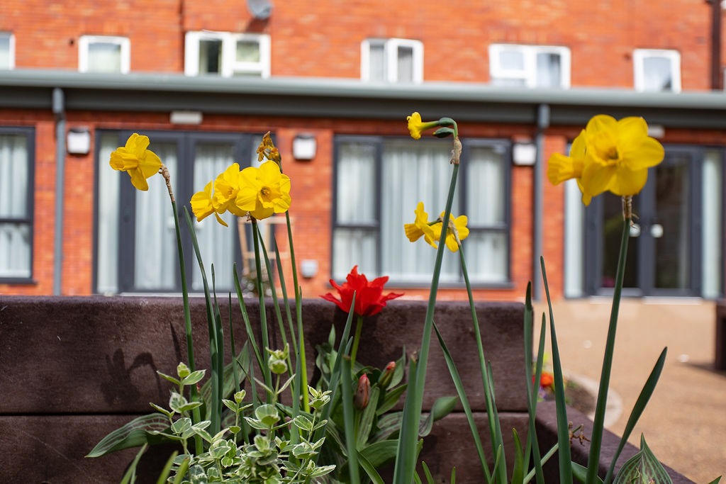 Hartshorne & Cardinal Court - Arcus Consulting