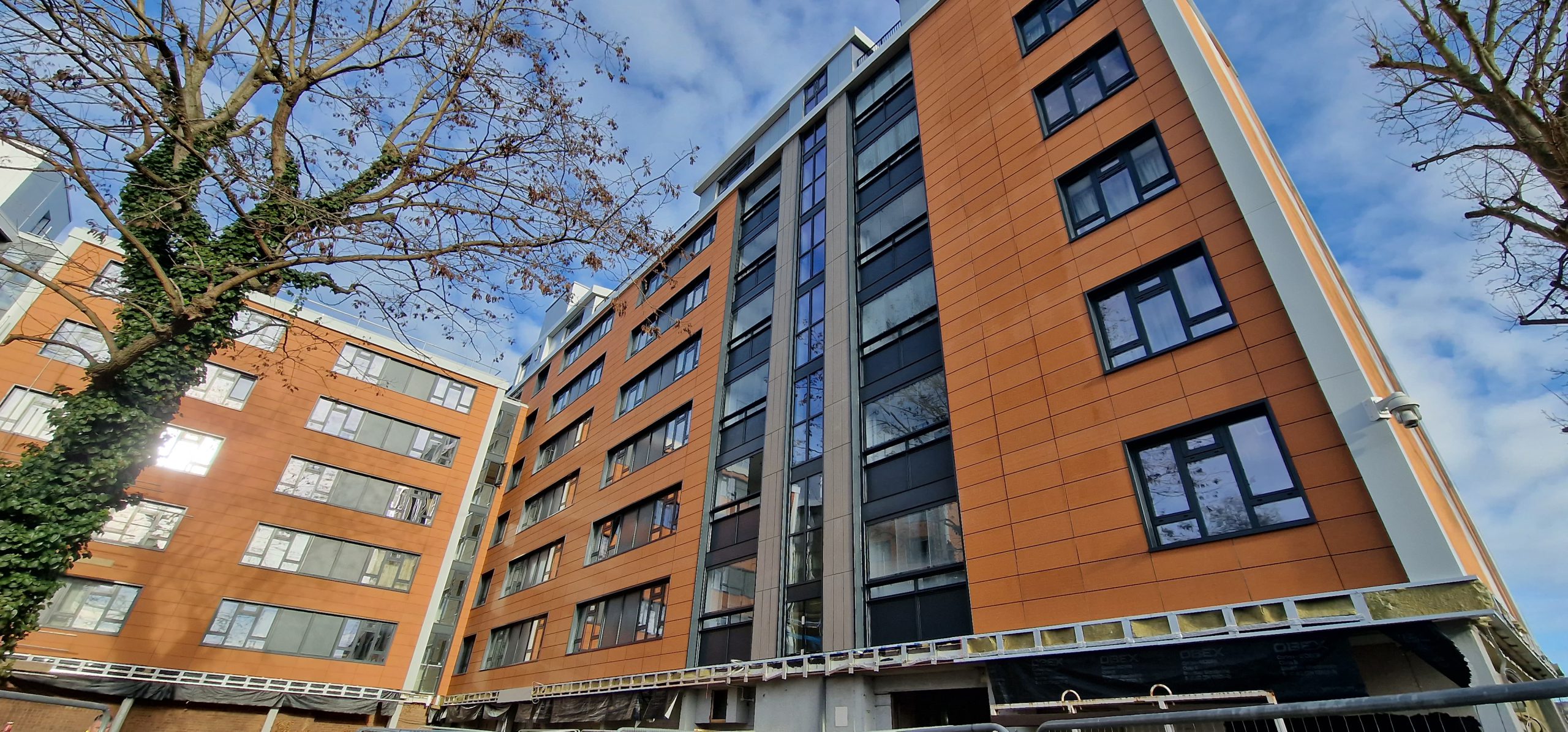 Project Vista - Arcus Consulting