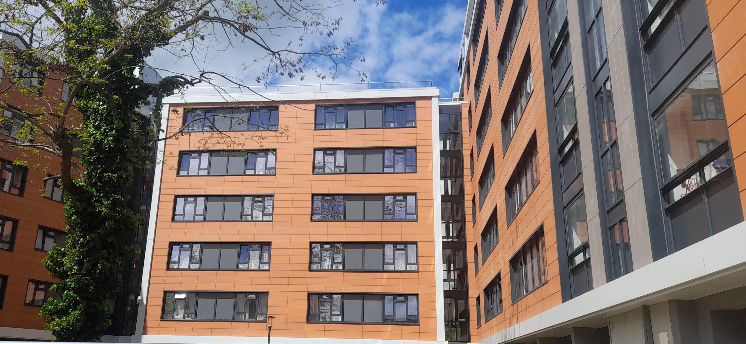 Project Vista - Arcus Consulting