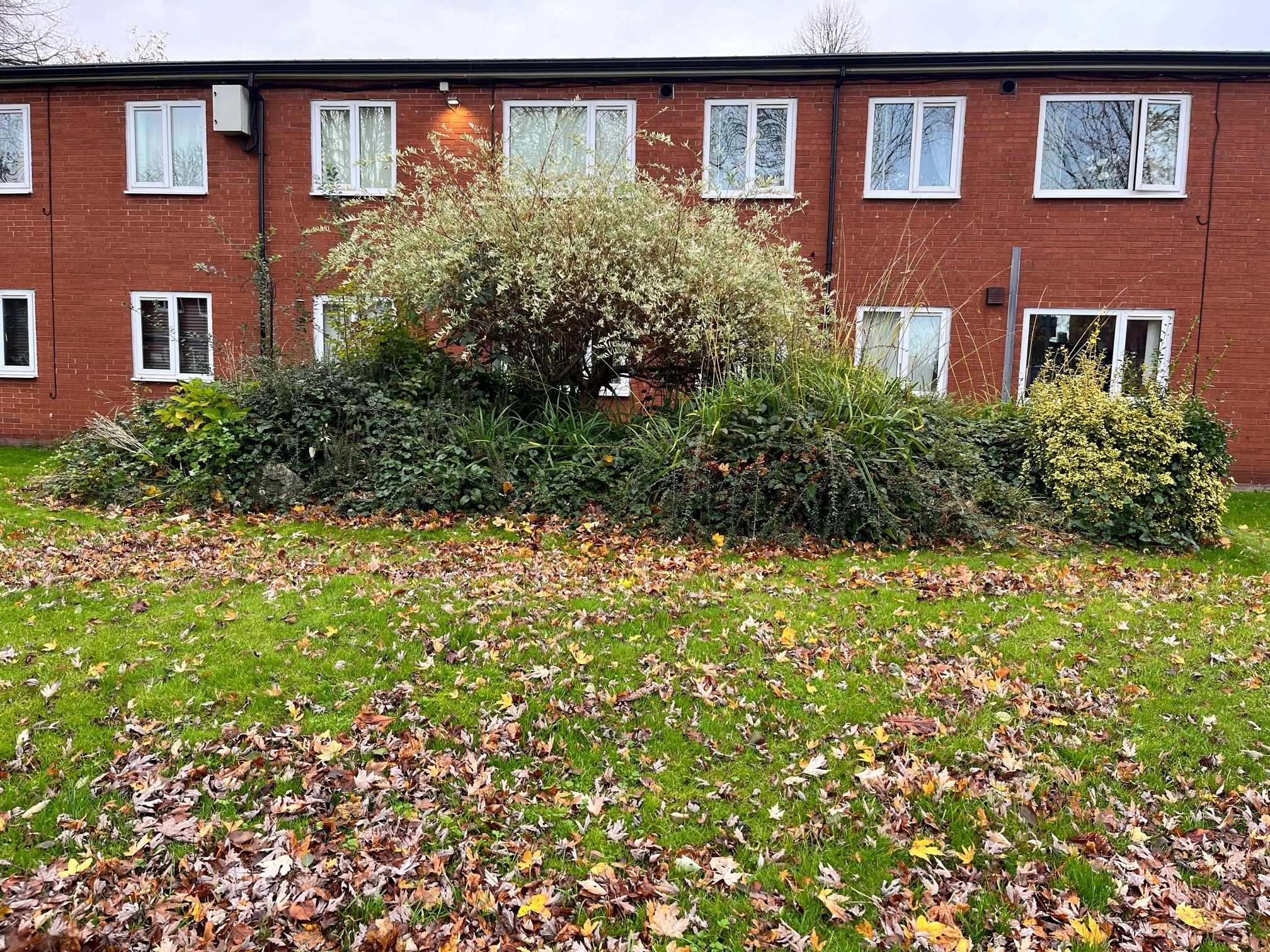Volunteering for Wythenshawe Community Housing Group - Arcus Consulting